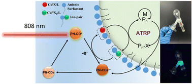 Carbon dot driven near infrared light induced miniemulsion atom ...