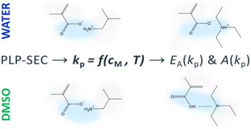 Effect of ionization by proton transfer on propagation rate ...