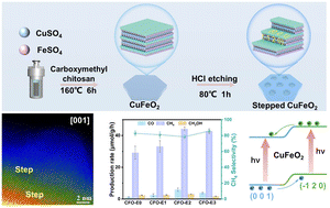 High density facet junctions in nano-stepped CuFeO2 enable efficient ...