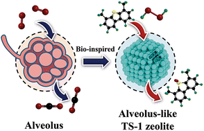 Hierarchically porous zeolite featuring an alveolus-like microsphere ...