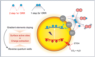 Reverse quantum wells in gradient-doped CdS for photocatalytic H2O2 ...