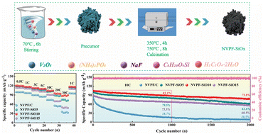Application of isomorphic anion incorporation to enhance ...