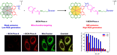 Bioorthogonal activation and mitochondrial targeting of a near-infrared ...