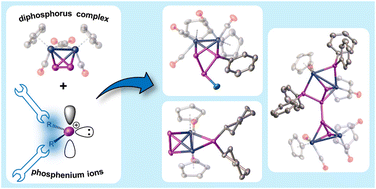Reactivity of a diphosphorus complex towards phosphenium ions ...