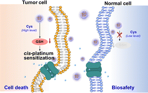 Cysteine-responsive, cyano-functionalized acenaphthopyrazine derivative ...