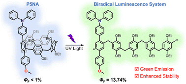 Light-induced open-loop products from a triphenylamine-functionalized π ...
