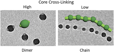 Morphological tuning of assemblies of diblock copolymer micelles via ...