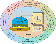 Electrochemical QCM-D for insights into organic mixed ionic–electronic ...