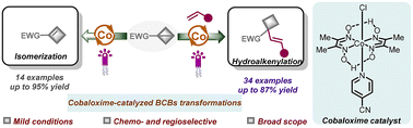 Visible-light-mediated cobaloxime-catalyzed isomerization and ...