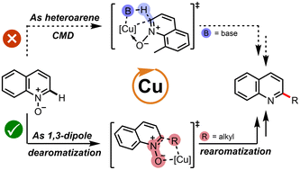 Dearomatization/rearomatization model for copper-mediated quinoline N ...