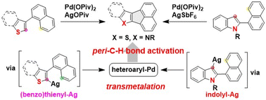 Pd-catalyzed site-specific heteroaromatic C–H/peri-C–H annulative ...