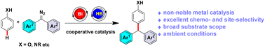 Highly chemo- and site-selective C(sp2)–H bond functionalization of aniline and phenol ...