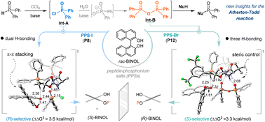 Mechanistic study on the enantiodivergent kinetic resolution of axial ...