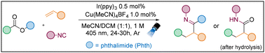 Pseudo-4-component photoredox-catalyzed alkylative amidination ...