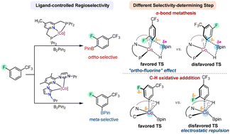 Origin of ligand-controlled regioselectivity in Co-catalyzed borylation ...