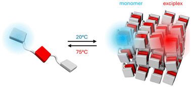 Intramolecular exciplex formation between pyrene and tetraazapyrene in ...