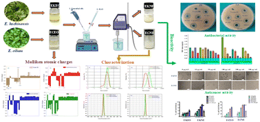 Preparation of nanoemulsions from Elsholtzia kachinensis and Elsholtzia ...