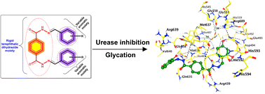 Design and synthesis of terephthalic dihydrazide analogues as dual ...