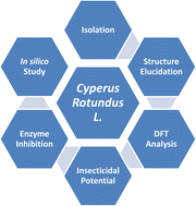 A new natural Cyperol A together with five known compounds from Cyperus ...