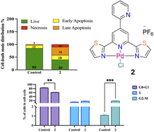 Cytotoxicity of Pd(ii) and Pt(ii) complexes of 2′,6′-di(thiazol-2-yl)-2 ...