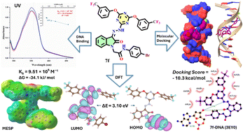 Synthesis and DNA binding studies of novel triazine-isatin hybrids: experimental and ...
