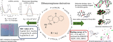 Synthesis and multifaceted exploration of dibenzoxepinones: in vitro antimicrobial and ct-DNA ...