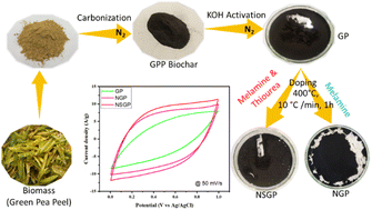 Heteroatom co-doped green pea peel-derived biochar for high-performance ...