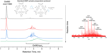 Reaction of polarizing agent Ox063 with pyruvic acid under standard ...