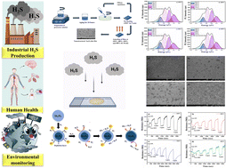 Optimized nanostructured In2O3 gas sensors: harnessing annealing ...