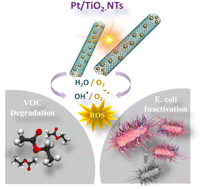 Controlled deposition of Pt nanoparticle size modified TiO2 nanotubes ...
