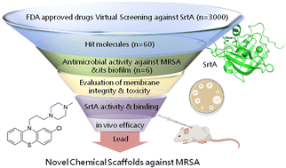 Identification of prochlorperazine dimaleate as a Sortase A inhibitor ...