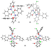Square planar vs. pyramidal copper(ii)-complexes with benzylal vs ...