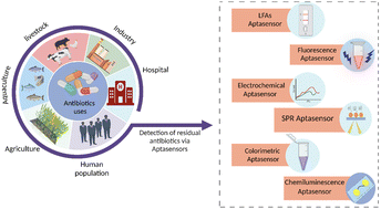 From lab to field: revolutionizing antibiotic detection with aptamer ...