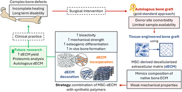 Synthetic scaffolds functionalized with mesenchymal stem/stromal cells-derived extracellular ...