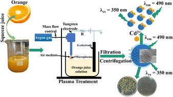 Microplasma-synthesized Citrus-derived carbon quantum dots ...