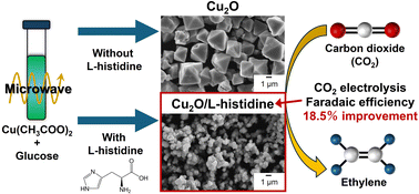 Microwave-assisted hydrothermal synthesis of amino acid-loaded Cu2O ...
