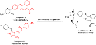 Design, synthesis, herbicidal activity, and the molecular docking study of novel phenylpyrazole ...