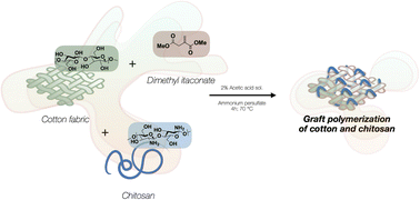 Salt-free dyeing of cotton fabric via graft polymerization with ...