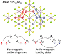 Zigzag antiferromagnetic property of two-dimensional NiPX3 (X = S/Se ...