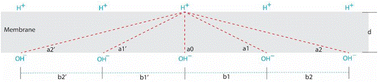 Calculation of proton transmembrane-electrostatic interaction force and ...