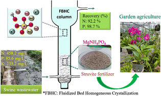 Struvite Fertilizer Recycling Of Nutrients From Landfill Leachate: A