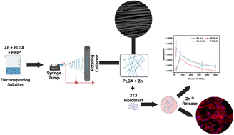 Zinc-integrated PLGA/chitosan nanofiber mesh: a platform for wound ...