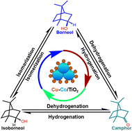 Enhanced catalytic performance of transition metal-doped Co/TiO2 for ...