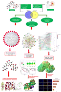 From silico to benchtop: cosmosiin as a PD-1/PDL-1 immune checkpoint ...