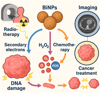Radiotherapy-chemodynamic cancer therapy using bismuth-based ...
