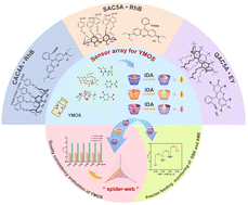 Facile calixarene-based sensor array strategy for quality evaluation of ...