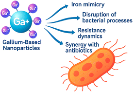 Antibacterial activity and mechanistic insights of gallium-based ...