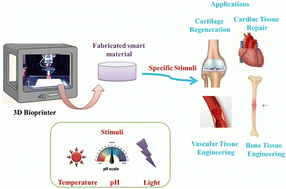 Exploring 4D printing of smart materials for regenerative medicine ...