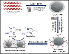 Boron-/nitrogen-doped Ti3C2Tx MXene quantum dot-based sensor for ...