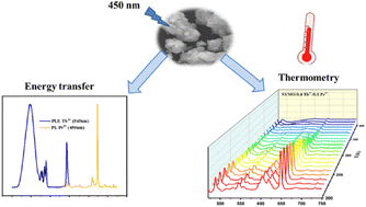 Synergistic luminescence of Tb3+ and Pr3+ ions in Sr2Y(MoO4)4 for high ...